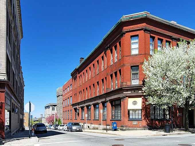 Spring blossoms frame red brick like nature's own picture frame, softening industrial edges with delicate white petals.