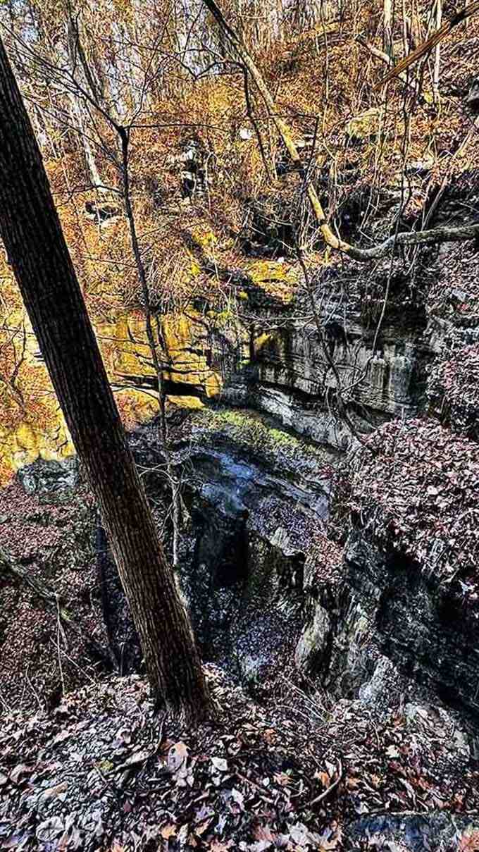 Looking down into this rocky gorge feels like discovering a secret world hidden right beneath your feet all along.
