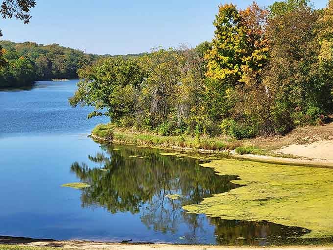 Where sandy beach meets blue water, fall foliage provides a backdrop worthy of any New England postcard collection.