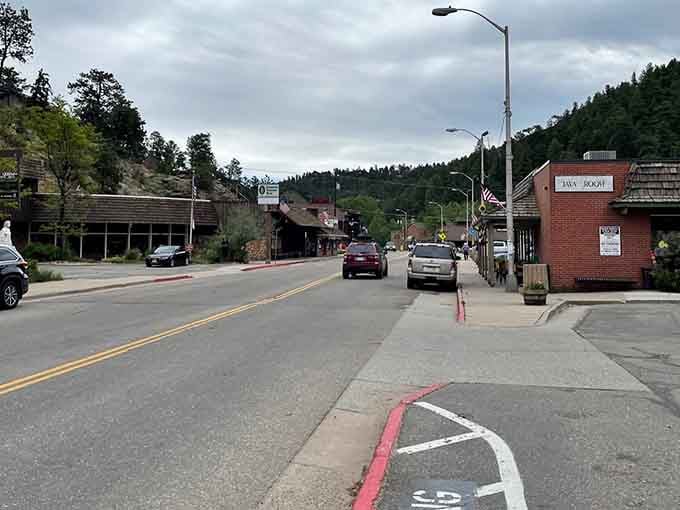 Pine-covered slopes frame this winding road where every curve reveals another reason to pull over and stare.