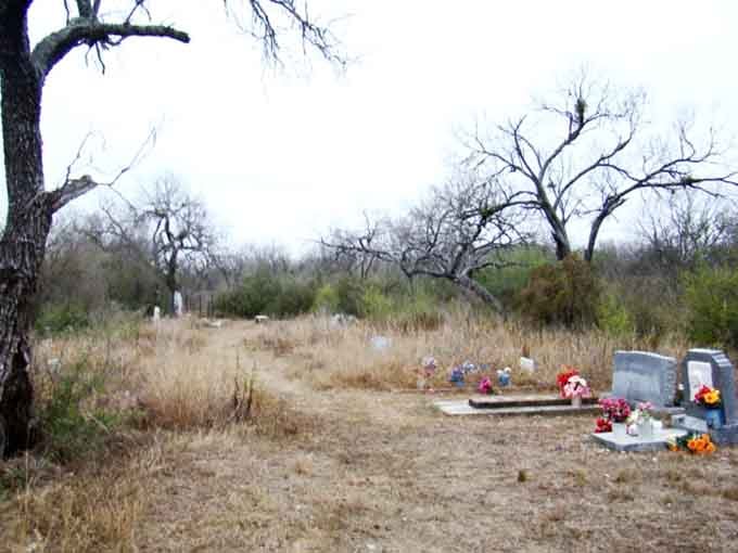 Bare branches reach skyward like skeletal fingers while colorful memorial flowers provide the only bright spots in this desolate scene.