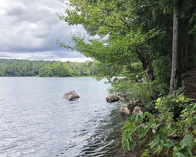 Gentle waves lap against moss-covered rocks along this tranquil shoreline where nature finds perfect balance.