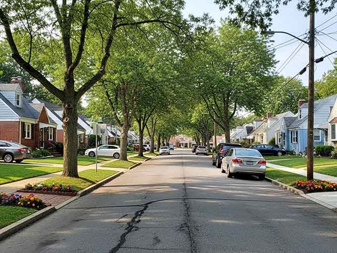 Spring green canopies arch overhead like nature's cathedral, turning ordinary streets into extraordinary daily walks through the neighborhood.
