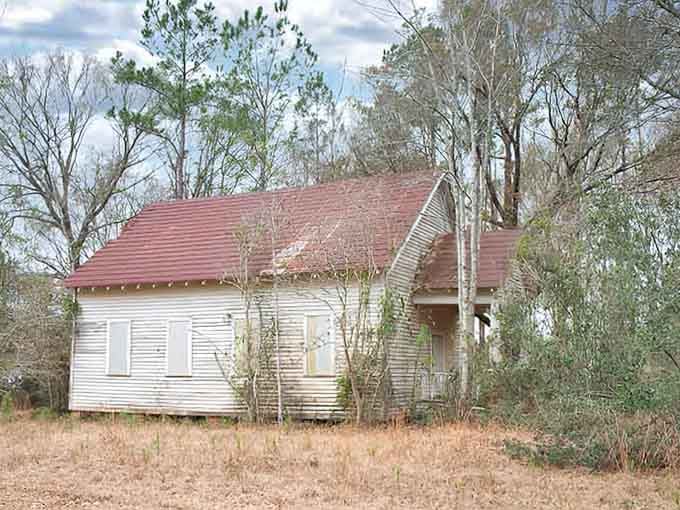 The tin roof and overgrown yard tell tales of when this home was the neighborhood's gathering spot.