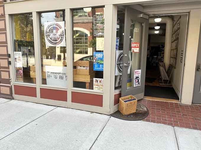 That open doorway practically pulls you inside, promising discoveries that'll make your turntable sing with joy.