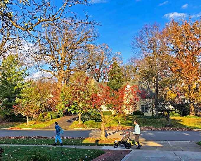 Autumn's paint palette transforms ordinary streets into postcards where every tree competes for the most spectacular color display award.