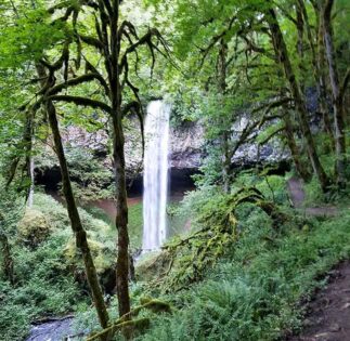 You'll Want To Visit These 9 Hidden Oregon Waterfalls Before Everyone ...