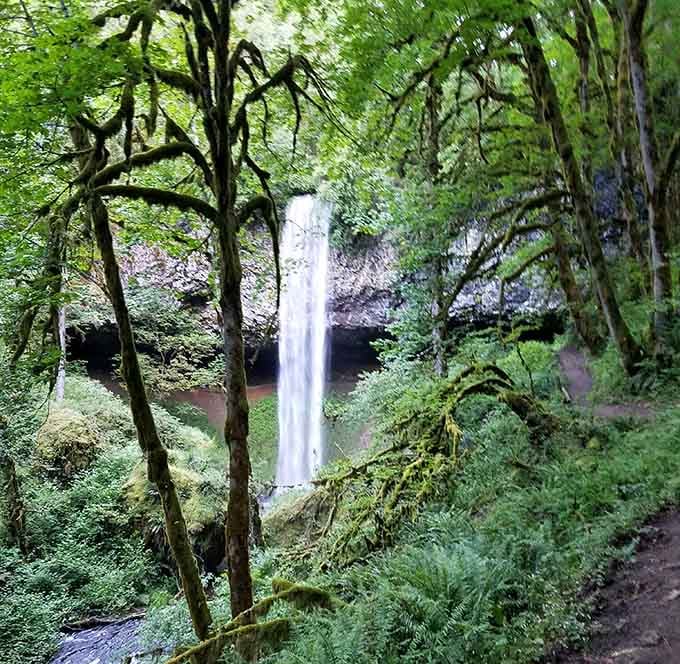Through the trees, this slender ribbon drops straight down like a silver thread connecting earth and sky perfectly.