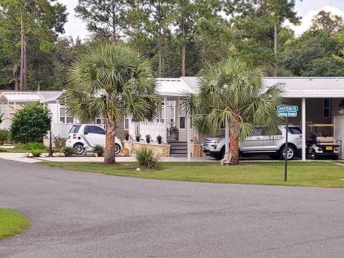 Those palm trees flanking the entrance add tropical flair to this neighborhood gathering spot.