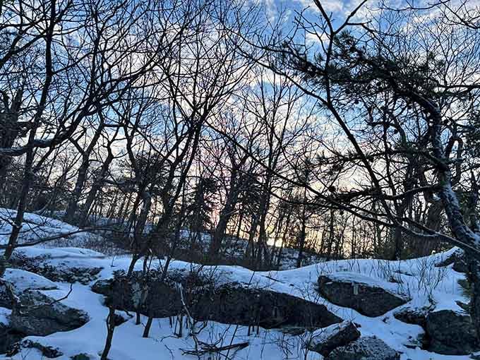 Winter's blanket transforms the landscape into a Currier and Ives scene, silent and stunningly beautiful.