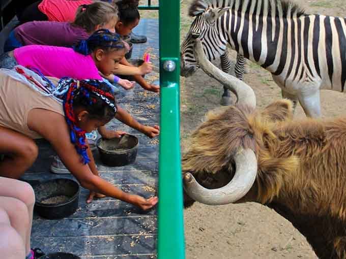 Feeding exotic animals while kids learn that nature beats any video game hands down.