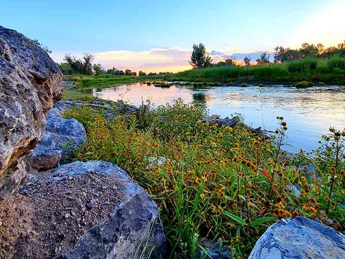 Wildflowers along the riverbank remind you that nature doesn't charge admission for beauty this good.