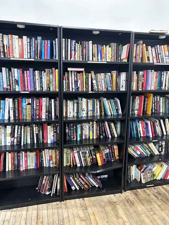 Books lined up like old friends waiting to be rediscovered, each spine holding adventures for pennies on the dollar.