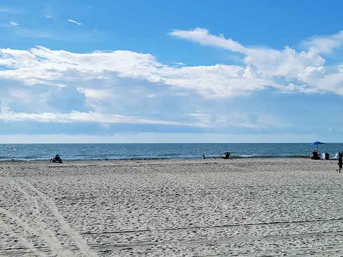Sometimes the best view is the one looking back, where endless sand meets endless possibilities.
