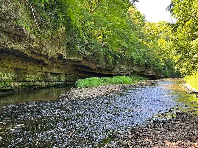 Limestone layers tell stories spanning millions of years, making your Monday morning meeting seem less significant.
