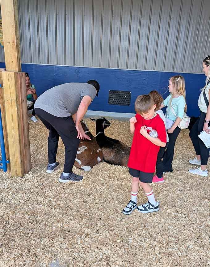 The petting zoo where "do not disturb" signs don't exist and the goats run the show like furry little CEOs.