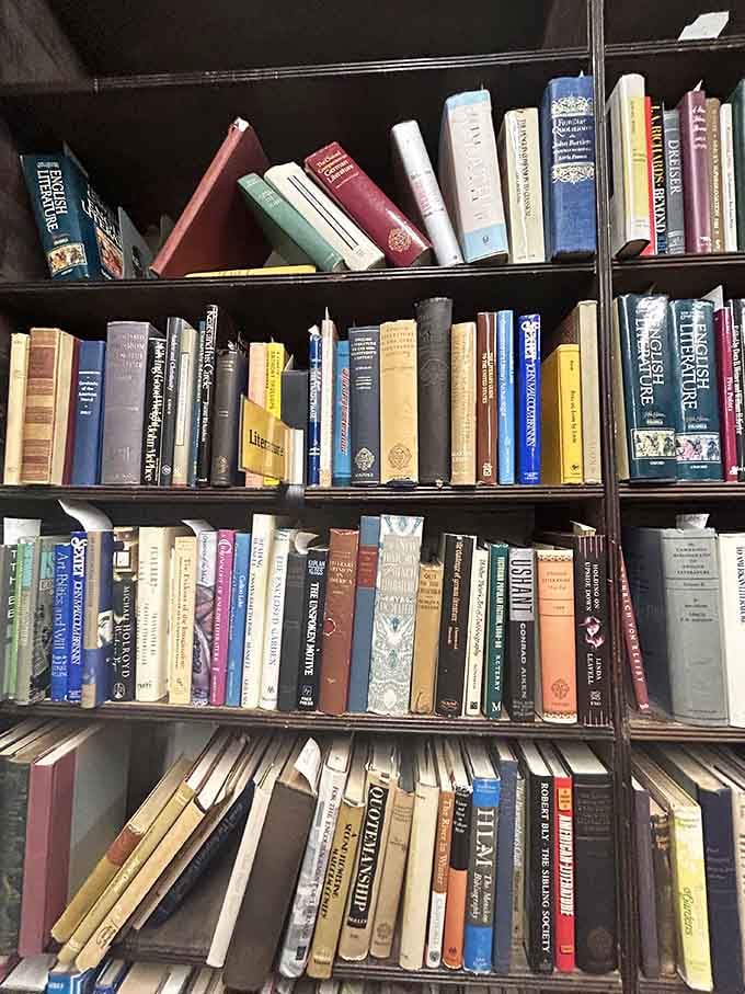 Shelves packed tighter than a subway car at rush hour, except here everyone's polite and nobody's elbowing you.