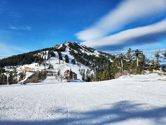 Mount Ashland's slopes await, offering the kind of winter wonderland that makes you forget about sensible retirement plans.