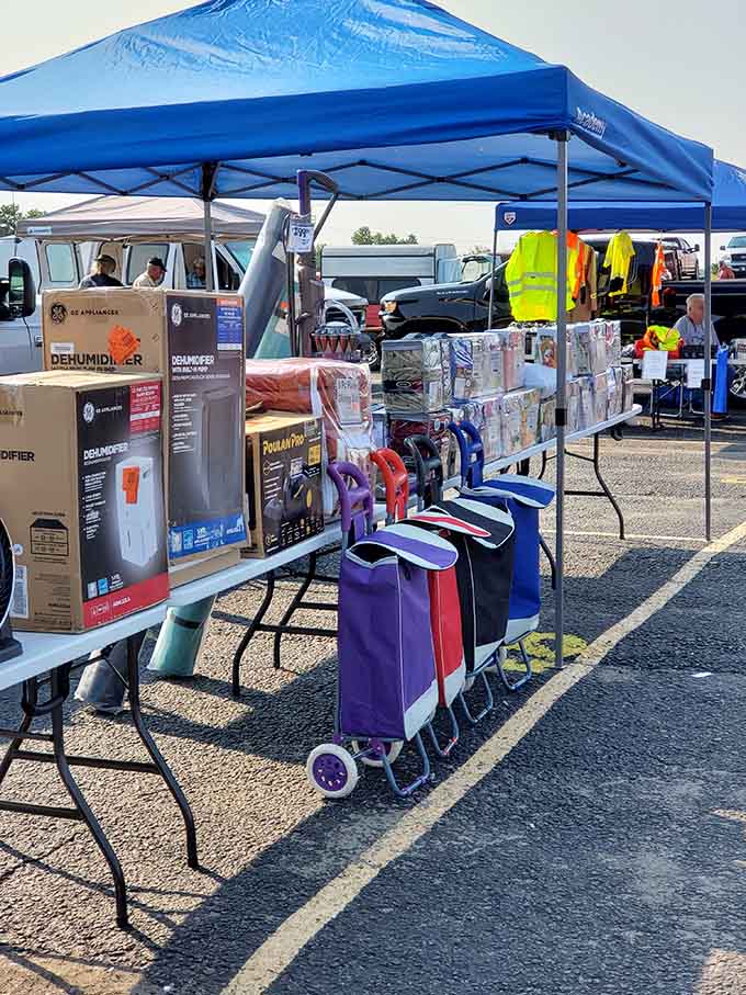 Dehumidifiers and shopping carts line up like they're auditioning for a home improvement reality show nobody asked for.