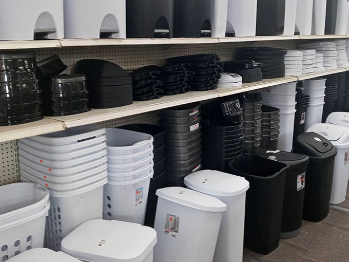 Storage baskets in every color, because apparently organizing your chaos requires aesthetic choices now, and honestly, fair enough.