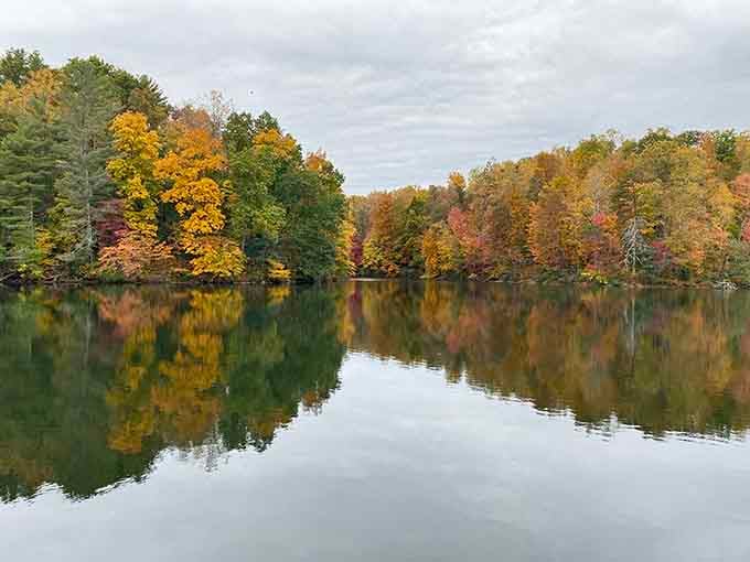 Autumn transforms the shoreline into a painter's palette, proving that Virginia's fall colors rival anything New England offers.