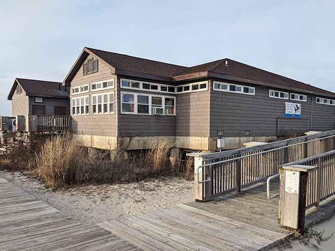 The Assateague State Park headquarters sits ready to welcome visitors seeking wild horses, pristine beaches, and nature that hasn't been sanitized.