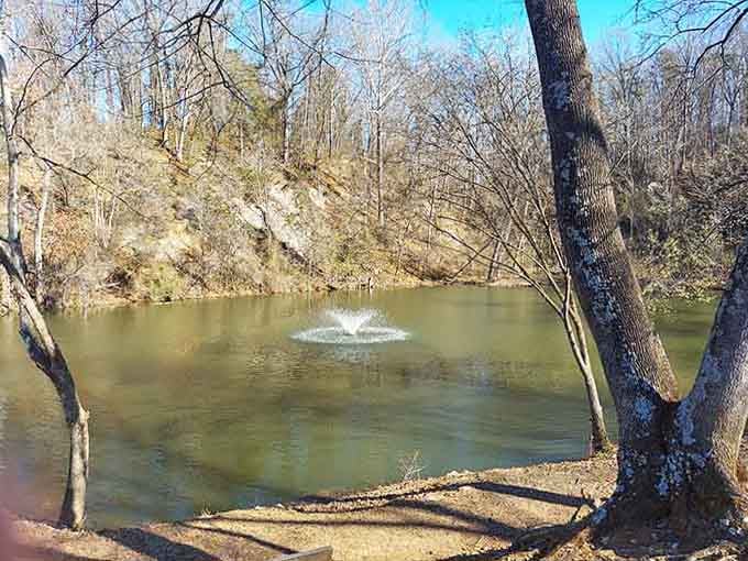 Winter reveals the pond's true colors&mdash;literally&mdash;when the trees stop hogging all the visual attention around here.