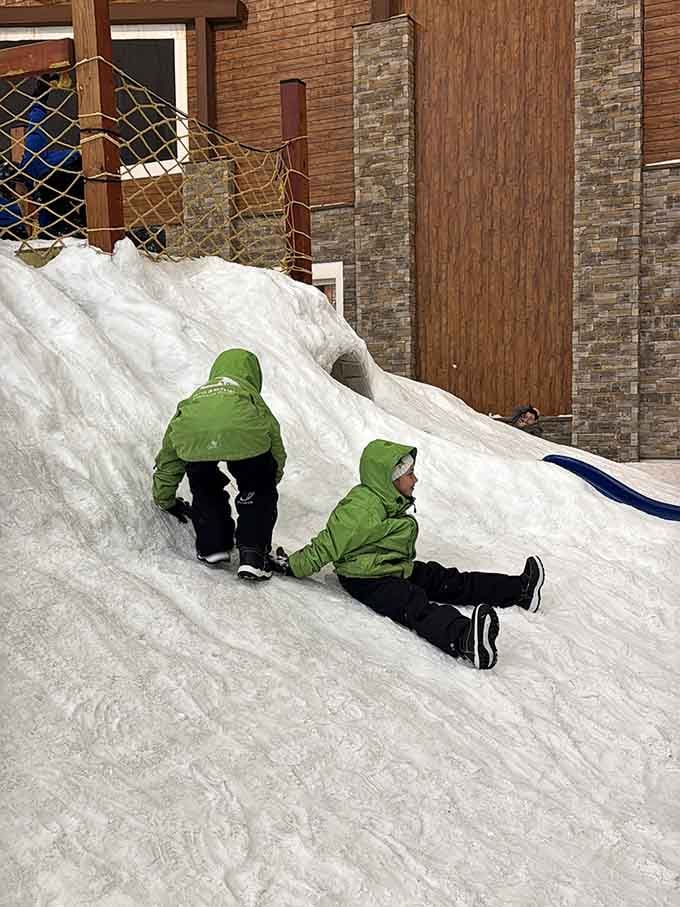 Young skiers getting their snow legs early, building confidence on slopes that stay perfect regardless of the weather forecast.