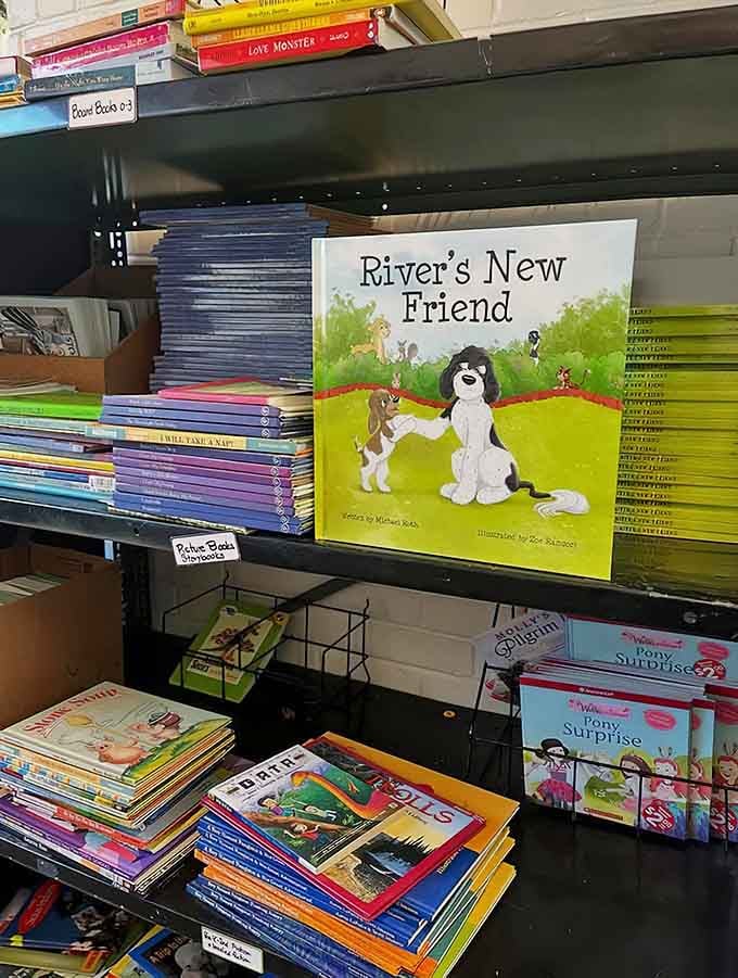 Children's books displayed at kid height, because fostering young readers starts with letting them choose their own adventures.