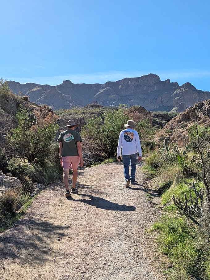 Trail views like this remind you why getting outside beats scrolling through your phone any day of the week.