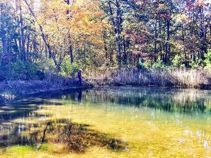 Cohanzick Nature Reserve's tranquil waters reflect the kind of peace your retirement account can finally afford here.