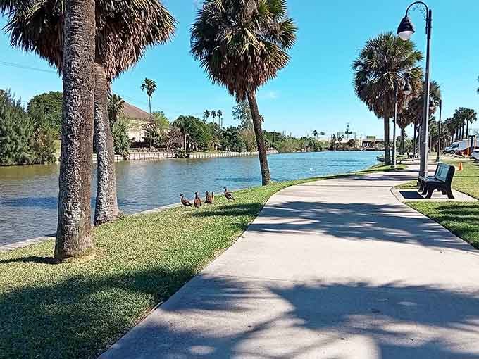 Dean Porter Park's twisted trees create natural sculptures that money simply cannot buy anywhere else.