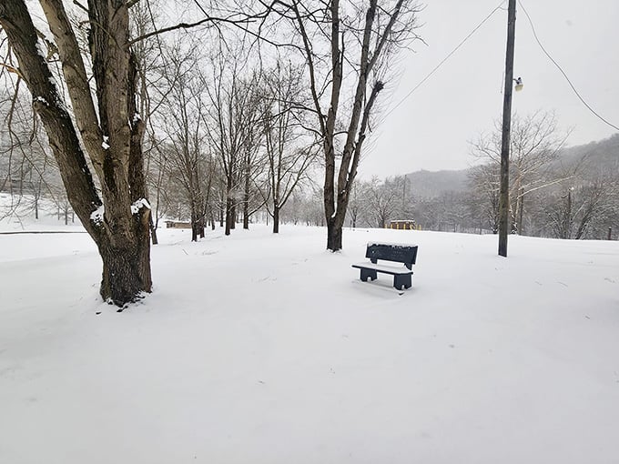 Winter transforms the park into a snow globe scene, proving this hidden gem shines in every season beautifully.