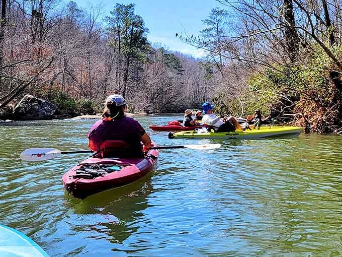 Kayaking these calm waters offers peace, quiet, and the kind of reflection time therapists charge good money for elsewhere.