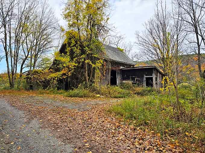 An old weathered structure stands as a quiet reminder of the area's past, slowly returning to nature.