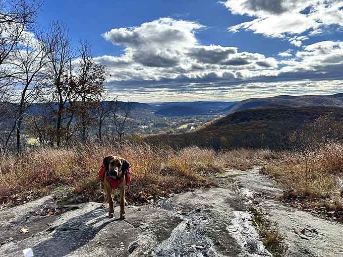 Even your four-legged hiking buddy knows this view deserves a moment of contemplation and tail-wagging appreciation.