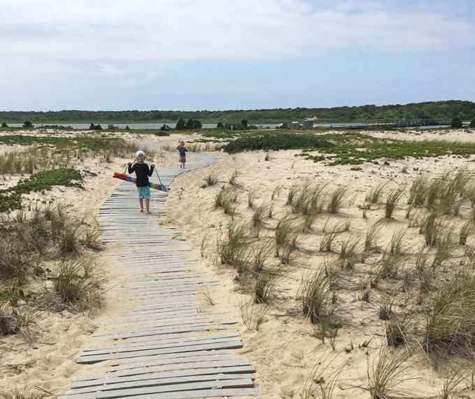 Paddleboarders heading toward tranquil waters where the bay beckons like a gentle invitation you'd be foolish to refuse completely.