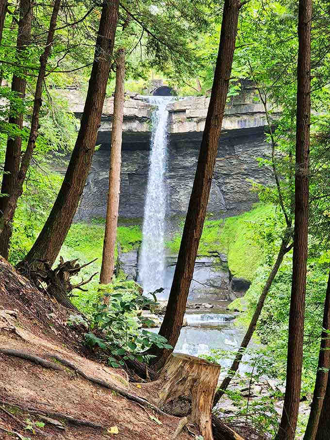 The main event: 90 feet of falling water framed by ancient shale cliffs that make you feel wonderfully insignificant.