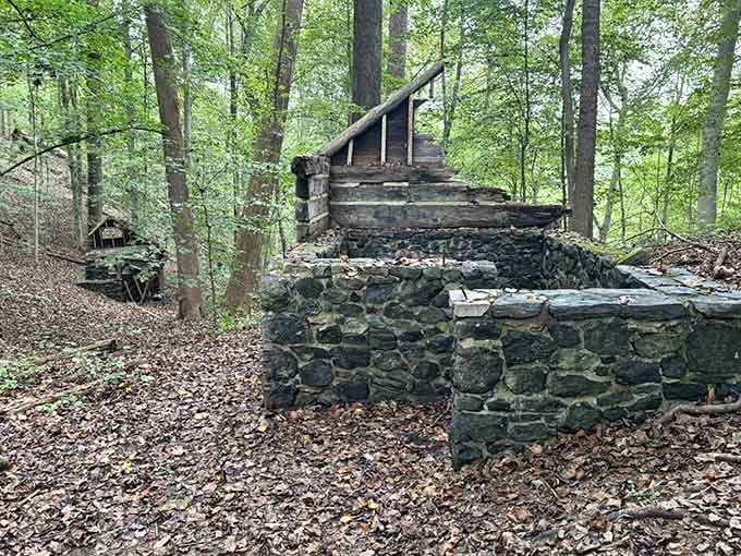 Stone ruins whisper tales of the valley's industrial past, when mills powered by water once dominated this landscape.