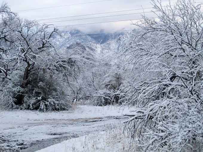 Who says the desert can't do winter? This frosted wonderland proves Arizona has more tricks up its sleeve.