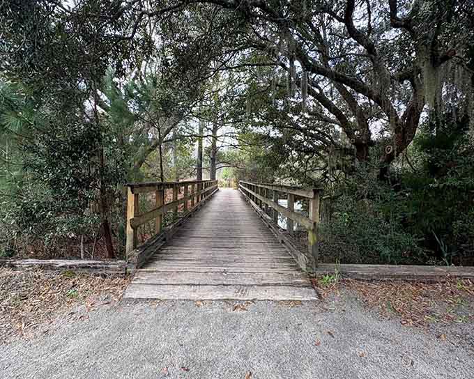The boardwalk stretches into the distance beneath ancient oaks, inviting you to leave your worries behind with each wooden plank.