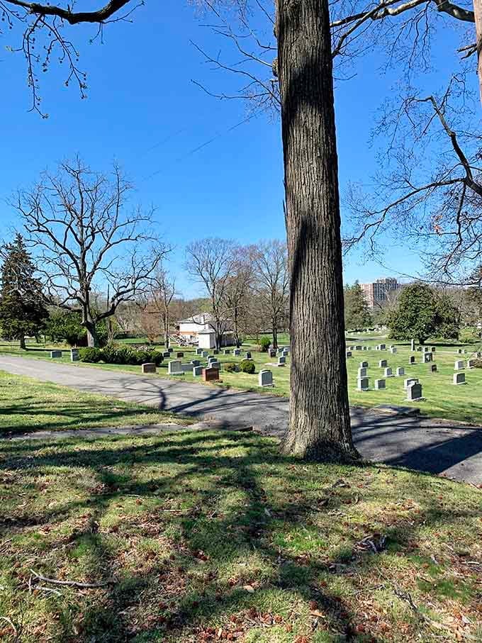 Towering trees cast long shadows across the grounds, providing natural shade for those who wander these paths.