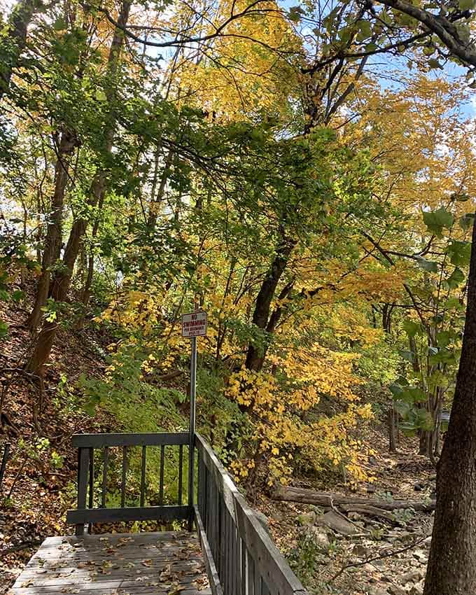 Fall foliage frames the waterfall like nature hired a professional decorator who really understood the assignment.