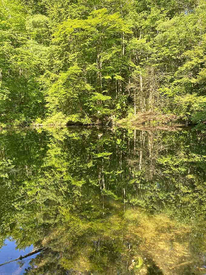 Water so still it doubles your scenery budget without charging extra for the reflection show.