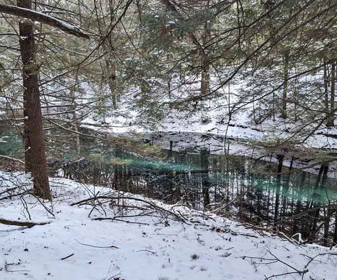 Winter turns the pond into a steaming cauldron of tranquility that would make any fantasy novel jealous.