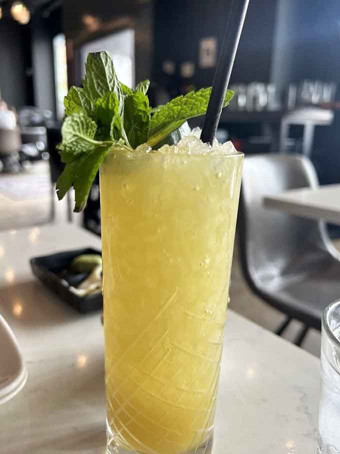 A refreshing cocktail garnished with fresh mint proves that sometimes the prettiest drinks also happen to be the most delicious ones.