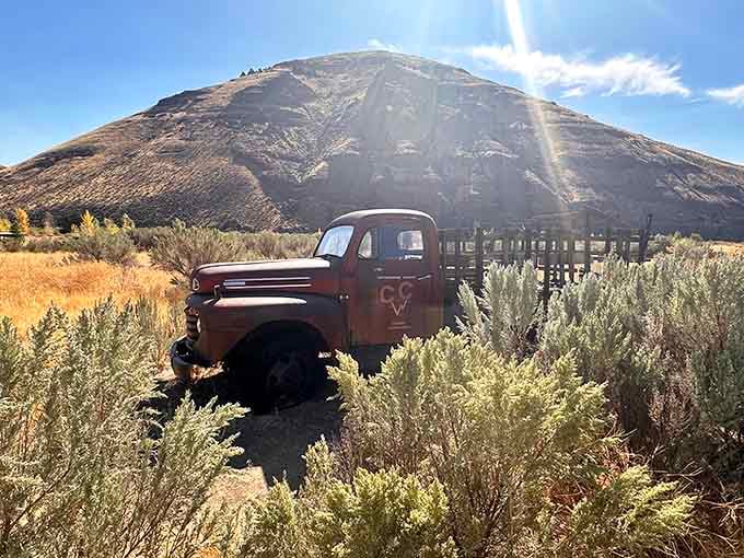This vintage truck adds character to the landscape, reminding visitors that this working ranch has stories spanning generations of Oregon history.