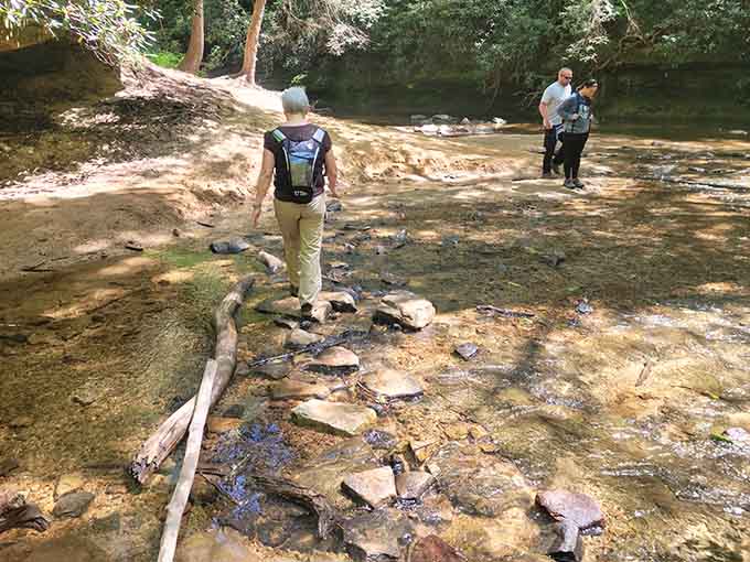 Fellow adventurers navigating the creek crossing, proving you're never too old for a little calculated risk-taking.