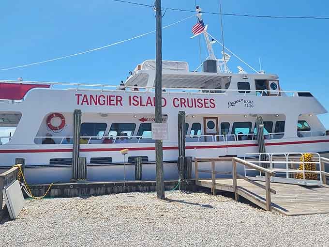 Island-hopping adventures depart daily, turning a simple ferry ride into an expedition worthy of your bucket list.