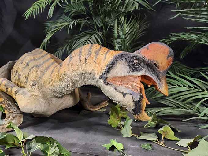 The Protoceratops looks almost gentle until you remember it could still headbutt you into next Tuesday if necessary.